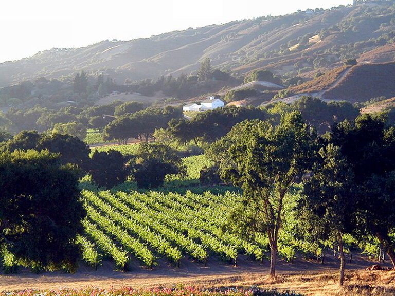 Monterey Wines Tasting Rooms & Wineries | Monterey County Vintners